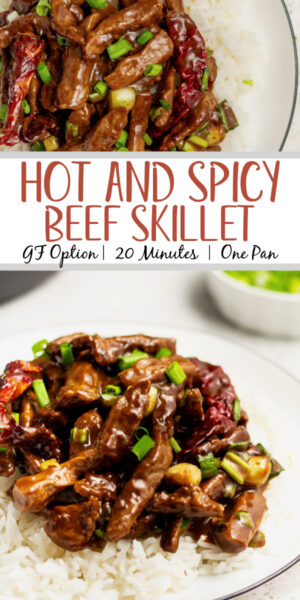 Hot and Spicy Beef - Healthy Hearty Recipes